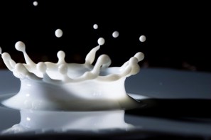 Milk & the Magic of Isis – Isiopolis